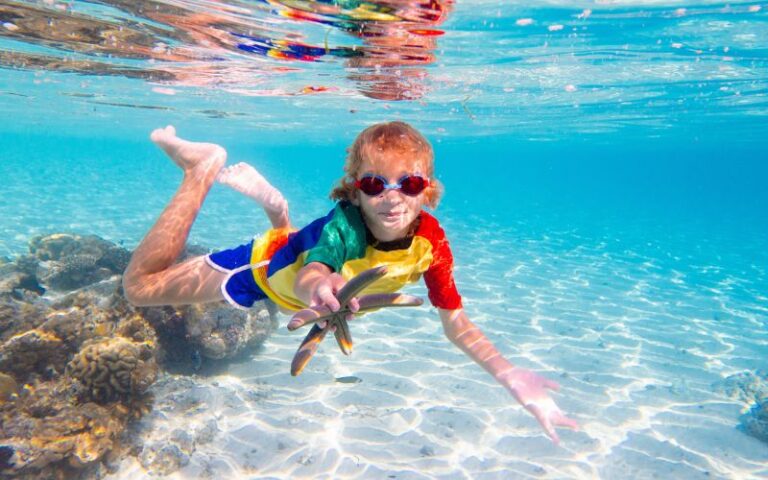 Ocean Themed Unit Study Ideas for Homeschoolers