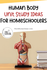 Human Body Unit Study Ideas for Homeschoolers